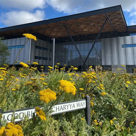 Cathy Chow On Linkedin Acommunitylikenoother Warwickalumni