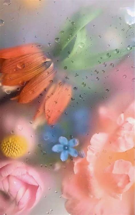 แจก🌹วอลเปเปอร์สวยๆ เหมือนดอกไม้ถูกแช่อยู่ในมือถือ สวยสมจริงมาก