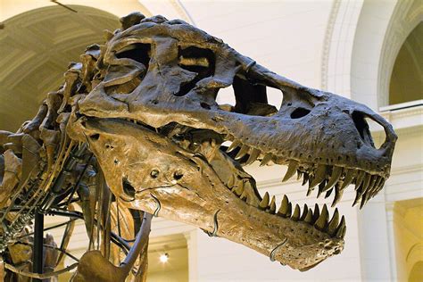 The Best Dinosaur Documentaries That Bring Prehistory To Life Dino World