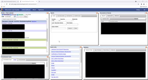 Usecase Judge Circuit Court Issue OpenAdaptAI OpenAdapt