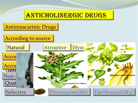Solution 1 Anticholinergic Drugs Studypool