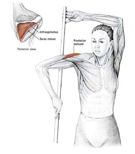 How To Treat A Trigger Point Subscapularis Artofit