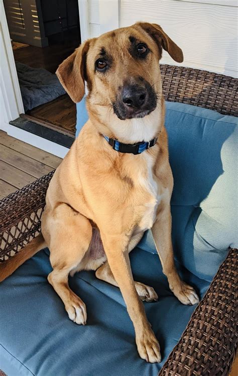 Meet Reggie R Eyebleach