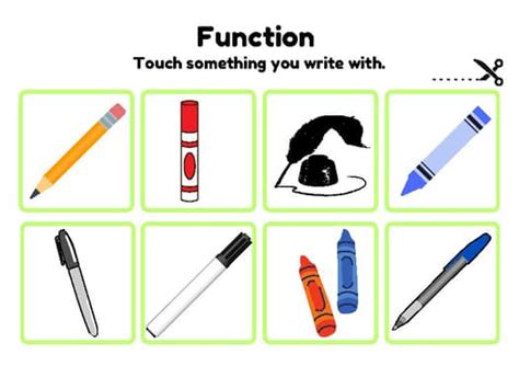 Feature Function And Class Lrffc Sorting And Assessment Bundle