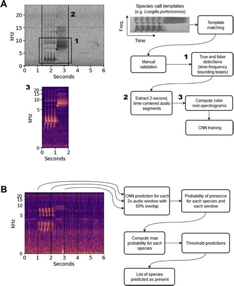 Color Flowcharts For A Training And B Prediction Portions Of The Download Scientific