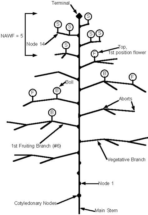 Identifying The Agronomic Point Of Diminishing Returns For Irrigated