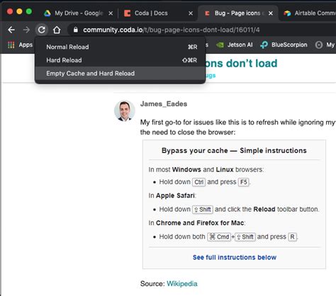 Bug Page Icons Dont Load 5 By Billfrench Bugs Coda Maker