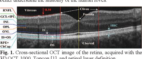 Pdf Automated Segmentation Of Retinal Layers In Oct Imaging And