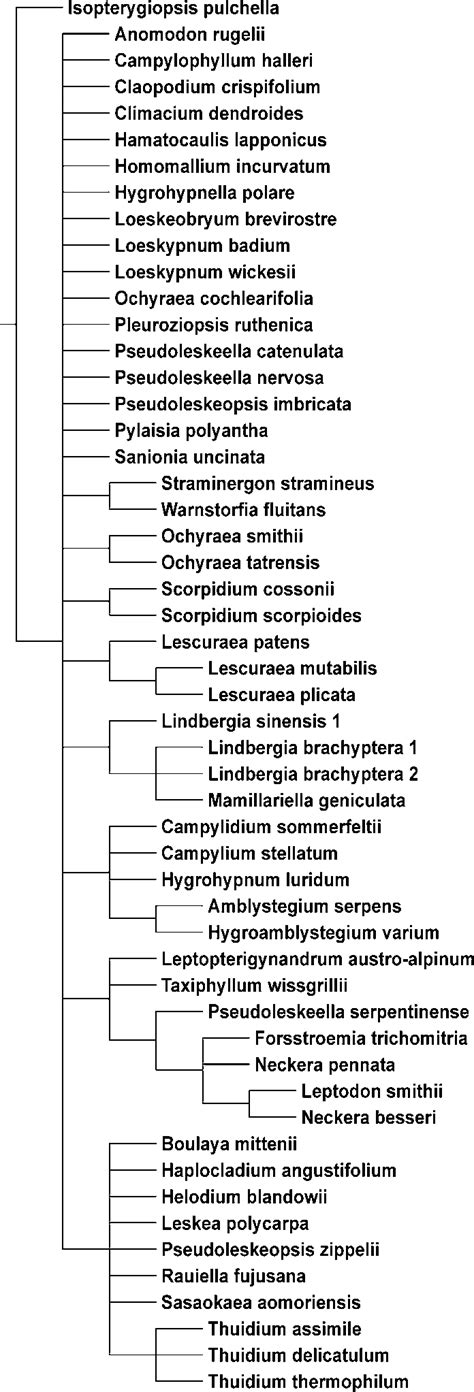 Above Strict Consensus Of 48 Shortest Trees L188 Based On Trnl F