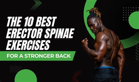 Top 8 Erector Spinae Exercises For A Stronger Back
