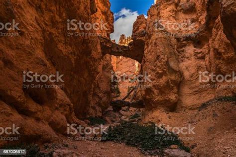 브라이스 캐년에서 하이킹 림 트레일 선셋에서 일출까지 퀸즈 가든과 픽어부 루프 트레일 브라이스 캐년 국립공원 북미 미국 0명에