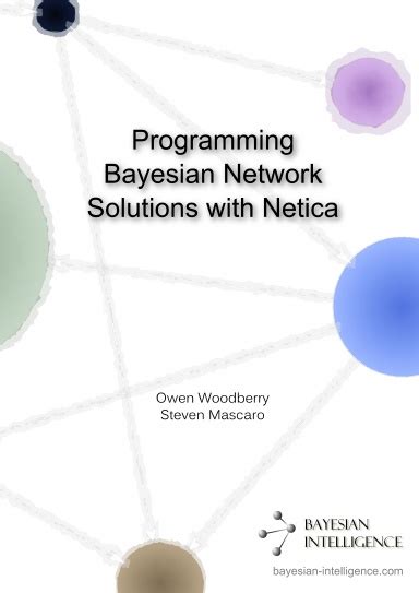 Programming Bayesian Network Solutions With Netica