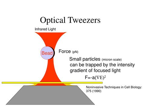 Ppt Single Molecule Detection And Manipulation Powerpoint Presentation Id 4811178