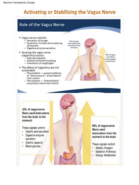 Activating The Vagus Nerve Pdf