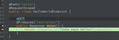 Run And Debug A Wildfly Swarm Application From Netbeans Java Code Geeks