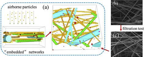 the simulation filtration diagram a and sem image of the samples
