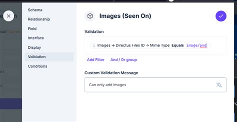 Field Validation Filtering By Mime Type Doesnt Work · Issue 15184 · Directusdirectus · Github