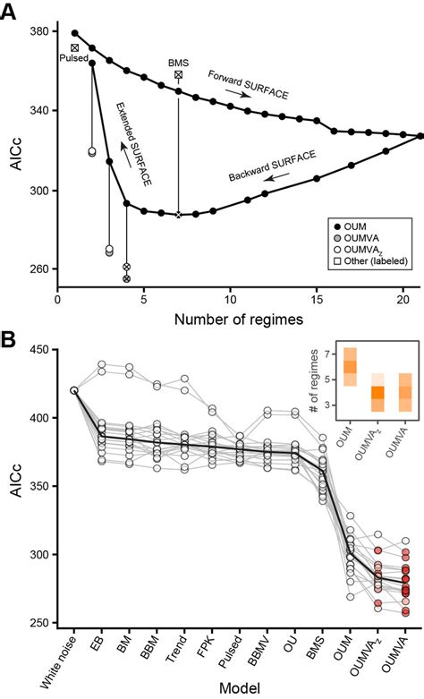 Macroevolutionary Modeling Reveals Strong Support For Evolution Across
