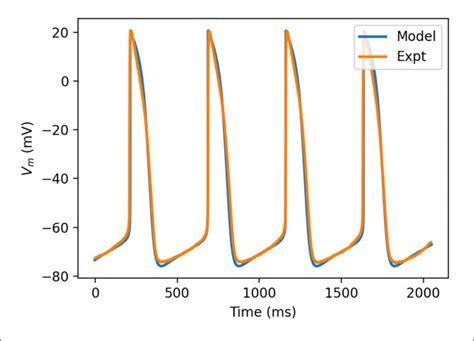 comparison of simulated action potential morphology blue to