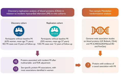 Sex Specific Heart Attack Risk Factors Linked To Circulating Proteins
