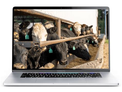 Feed Efficiency Calculator Fbn