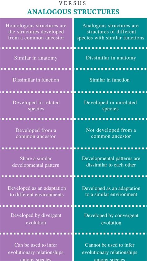 Difference Between Bryophytes And Pteridophytes