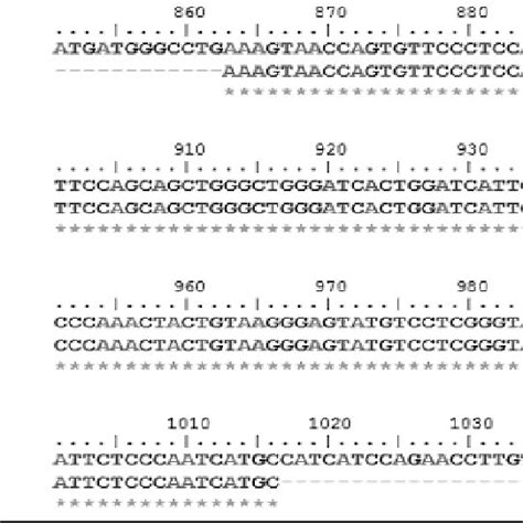 Bioedit Alignment Between A Reference Sequence Genbank Database