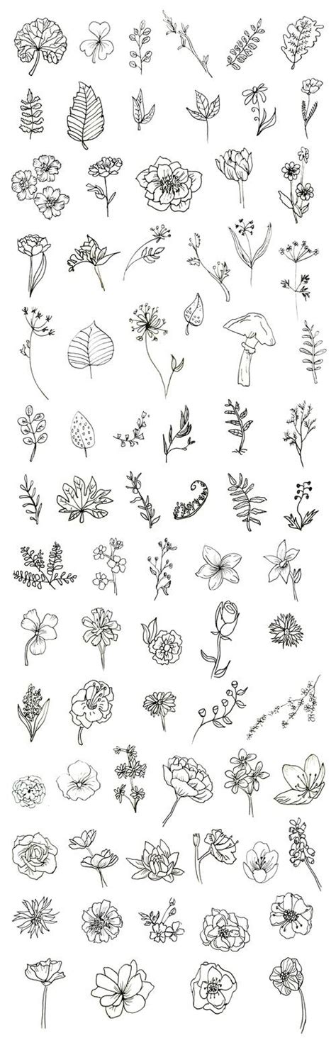 各种花卉简笔画 各种花卉简笔画图片 画趣文库（我爱生活）