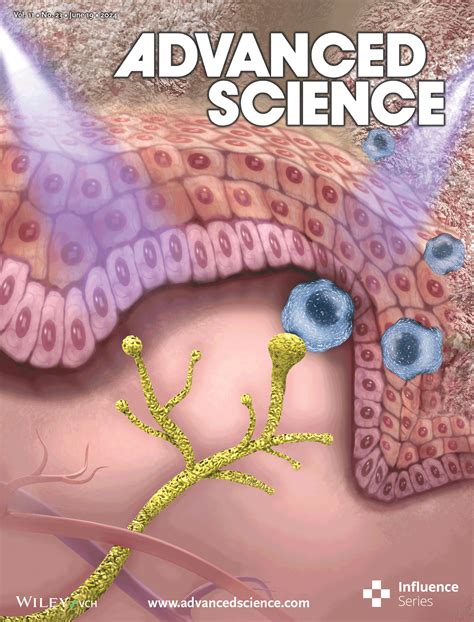 Cutaneous Calcium Calmodulin‐dependent Protein Kinase Ii‐γ Positive Sympathetic Nerves Secreting