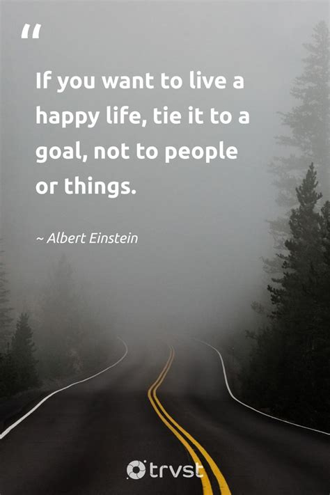 Focus On Goals For Happiness Albert Einstein Feelbetterquotes This