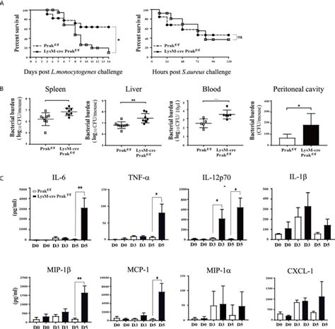 Prak Promotes The Pathogen Clearance By Macrophage Through Regulating