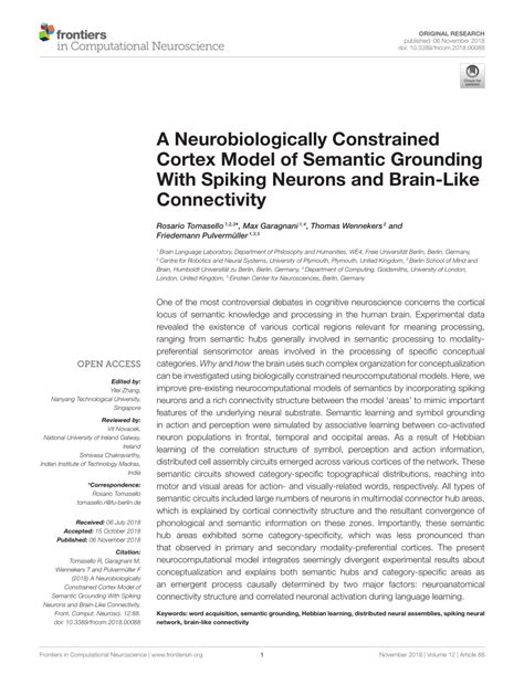 Pdf A Neurobiologically Constrained Cortex Model Of Semantic