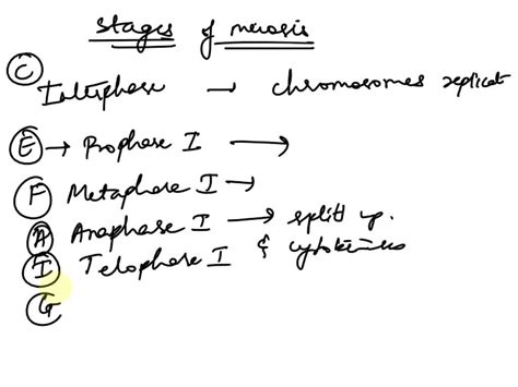 solved which of the following rows identifies process x and process y