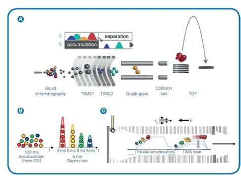 Technological Advances In Maldi Imaging And Spatial Proteomics For Medical Research