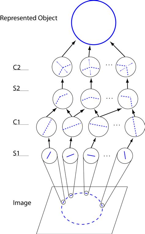 an illustration of the hierarchical model of object recognition