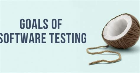 What Is The Main Goal Of Software Tester Blog Qatestlab