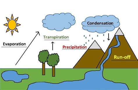 Recommendation Tips About How To Draw The Water Cycle Philosophypeter5