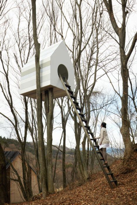 Tree House 78 Room Bird Nest Designs Ideas On Dornob