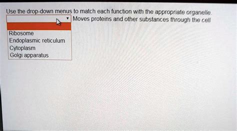 use the drop down menus to match each function with the appropriate