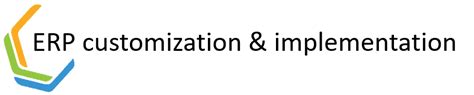 ERP Customization Implementation رای دانا