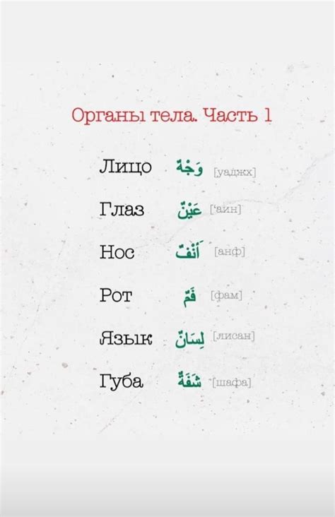 Pin di Olesya Ш su arabic