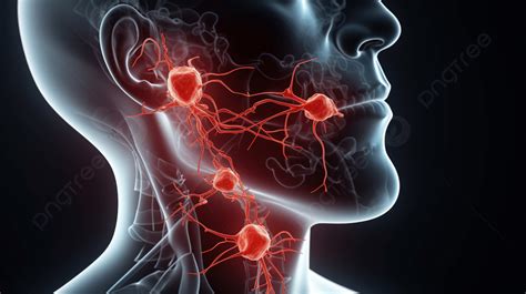 Wajah Seseorang Menunjukkan Kelenjar Getah Bening Gambar Kelenjar Getah Bening Bengkak Getah