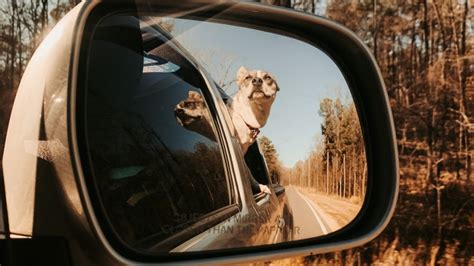 why are objects in a mirror closer than they appear