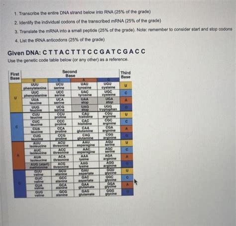 Solved 1 Transcribe The Entire Dna Strand Below Into Rna