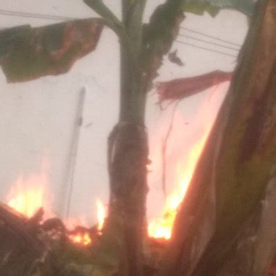 Sex Indonesia Sexindonesia Twitter