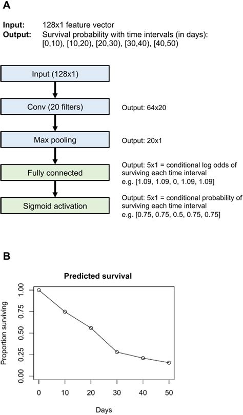A Scalable Discrete Time Survival Model For Neural Networks Abstract Europe Pmc
