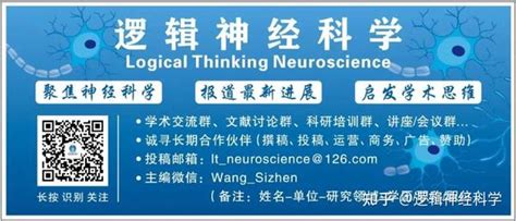 Neurobiol Dis︱郑州大学杨建军课题组揭示外侧下丘脑 外侧缰核神经环路在神经病理性疼痛中的重要作用 知乎