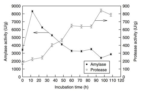 Protease Production By Aspergillus Oryzae In Solid State Fermentation Using Agroindustrial