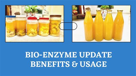 Bio Enzymes Benefits At Justin Conway Blog