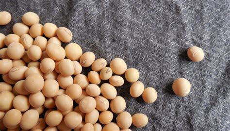 Buena Salud Y Nutrición Con Proteína De Origen Vegetal Soyamex